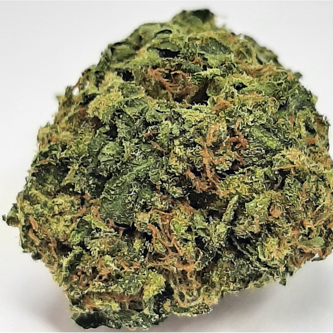 AA Alien Bubba - Wholesale Bud
