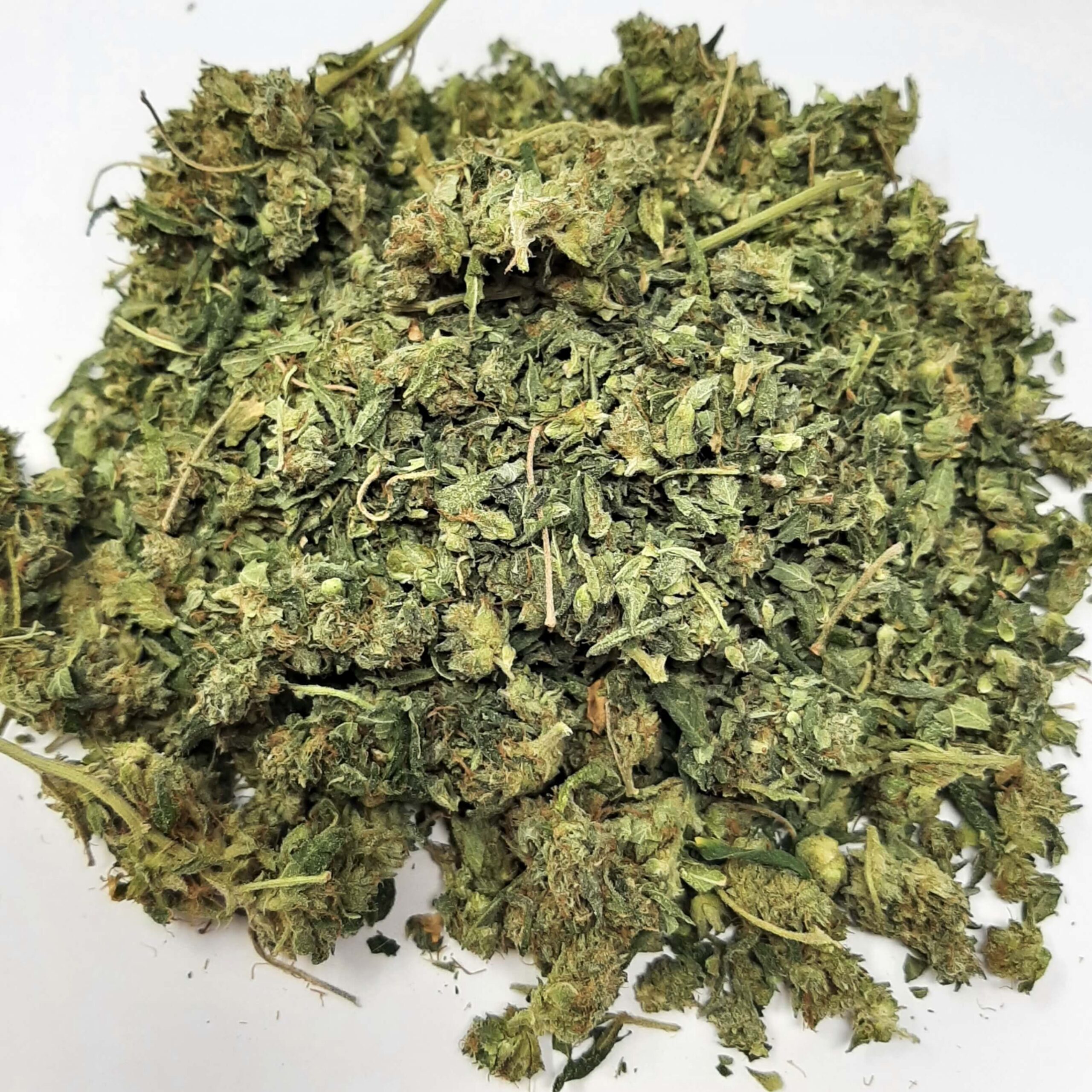 Apple Jack (Untrimmed Cheaps) - Wholesale Bud